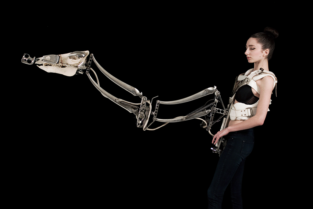 EXOSKELETAL | Christiaan Zwanikken