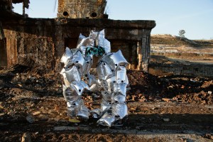 HOW A DEAD HARE EXPLAINS PAINTINGS | Christiaan Zwanikken