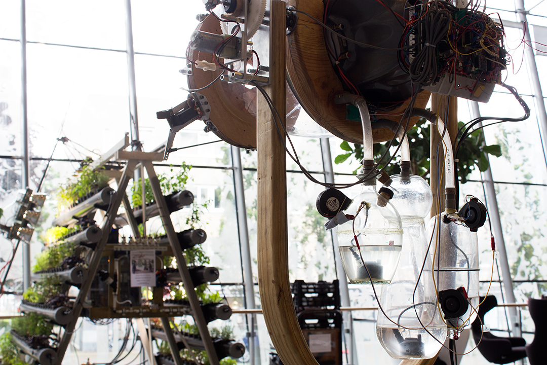 Kinetic Garden | Christiaan Zwanikken